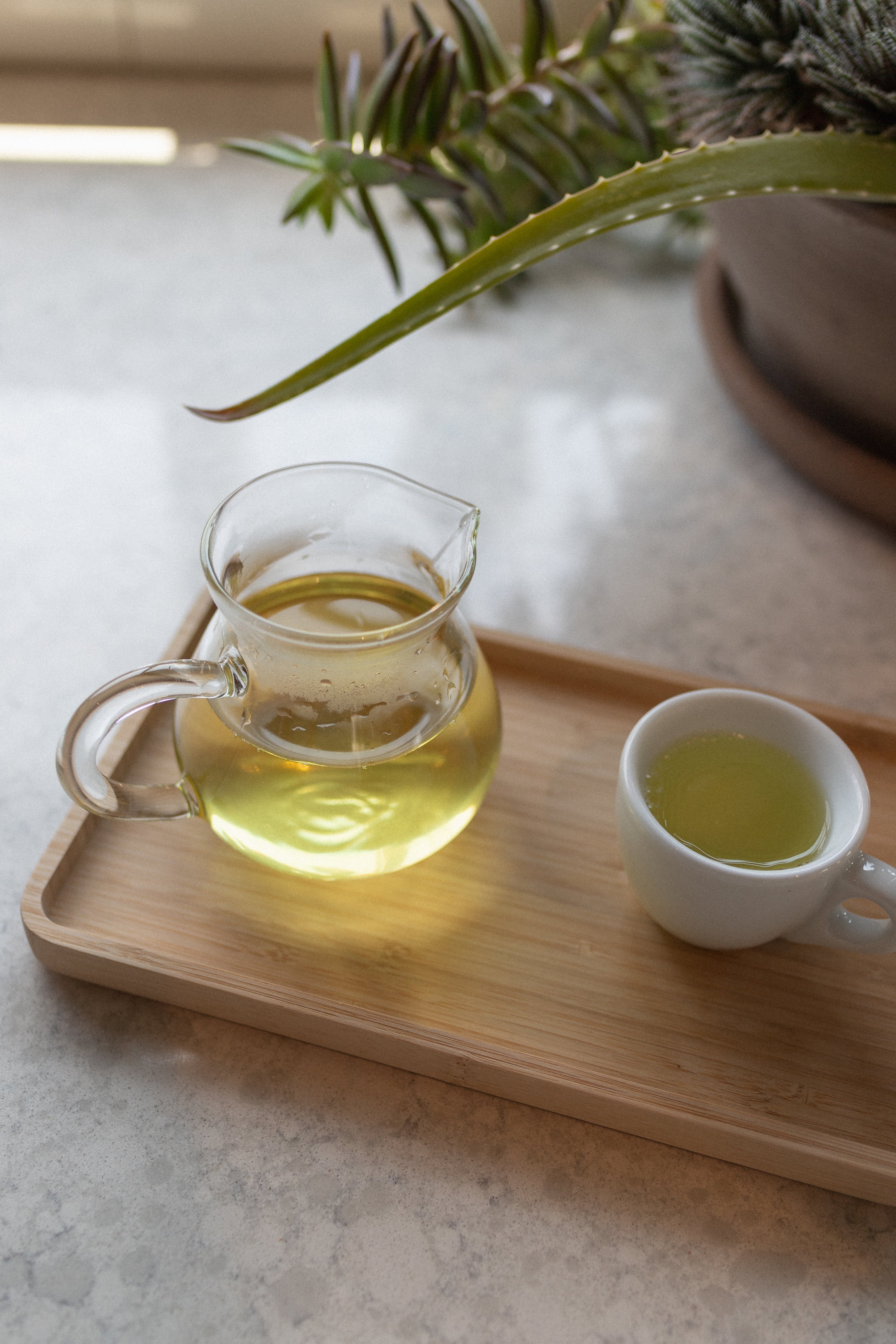 Teas & Botanicals – Coffea Roasterie